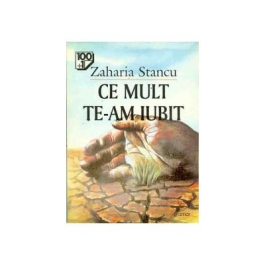 Ce mult te-am iubit
