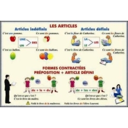 Plansa dubla - Les Articles/ Adjectifs et Pronoms Demonstratifs (FP9)